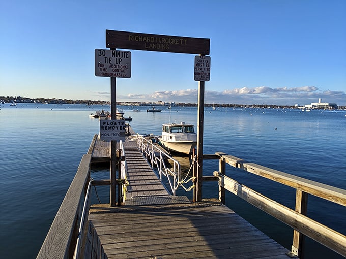 The Richard H. Rockett Landing invites you to step into a postcard, where 30-minute tie-ups lead to lifetime memories on the water.