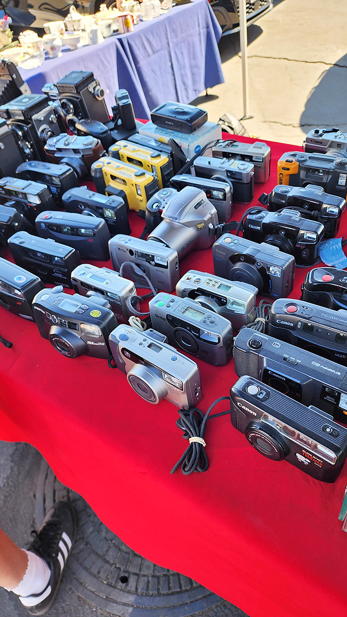 A red carpet of analog nostalgia where vintage cameras wait for their digital-age resurrection. Each one a mechanical marvel from when photography required patience.