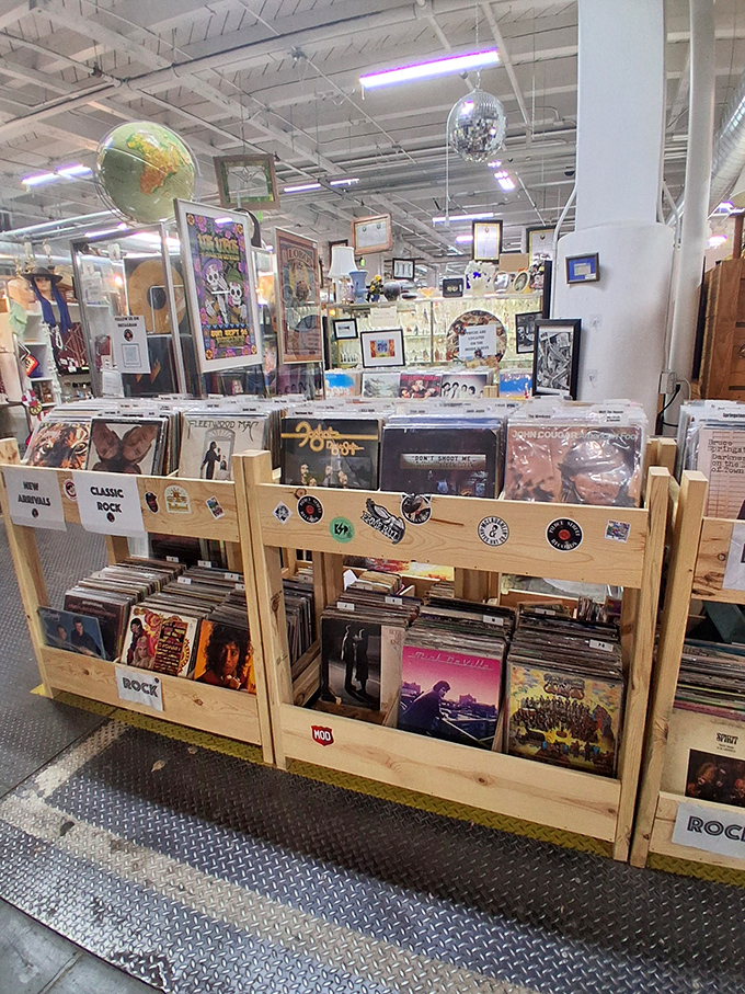 Vinyl heaven awaits music lovers. These analog time capsules offer sounds and album art that streaming services can never replicate.