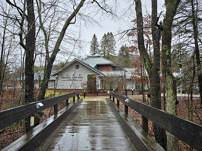 Rain or shine, the Environmental Education Center welcomes curious minds. This bridge leads to knowledge that no Google search can provide.