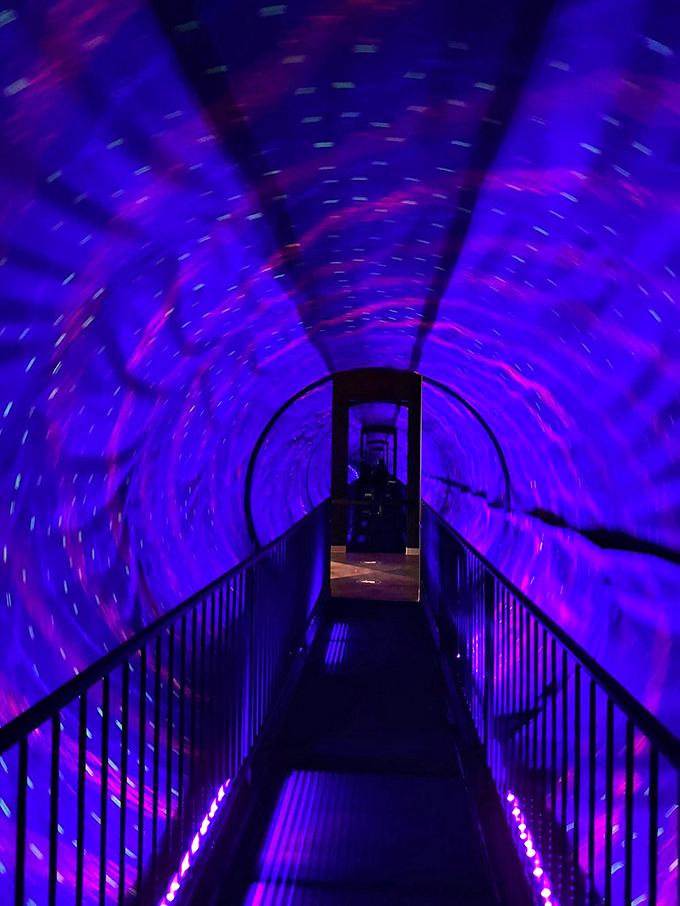 Step into the Vortex Tunnel, where your brain insists you're spinning while your feet remain firmly planted on solid ground.