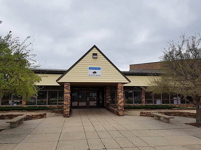 The W.H. Over Museum's unassuming exterior belies the treasures within. South Dakota's natural and cultural history awaits curious minds of all ages.
