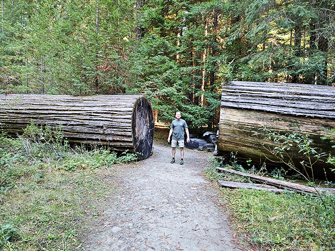 The ultimate "measure yourself against a tree" experience. Walking between these fallen giants makes you feel delightfully insignificant.