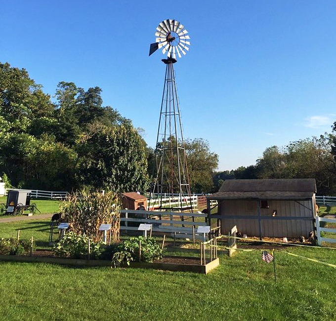The windmill stands tall against clear blue skies, silently demonstrating renewable energy principles that were sustainable long before it was trendy.