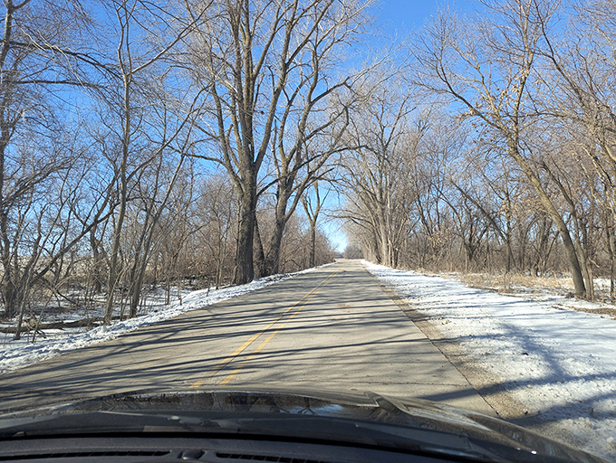 Winter driving in Iowa&mdash;where the tree tunnels transform into magical frost-lined corridors. The perfect reminder that beauty doesn't hibernate, it just changes outfits with the seasons.