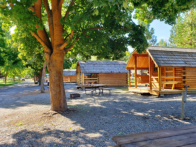 Cozy cabins nestled among tall pines offer that perfect "roughing it" experience, if "roughing it" includes comfortable beds and Instagram-worthy porches.