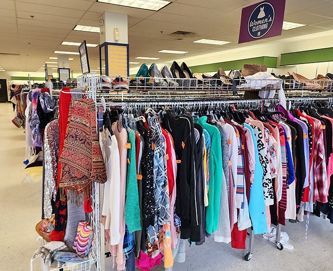 Women's fashion spanning decades, where vintage meets modern in delightfully unexpected ways.