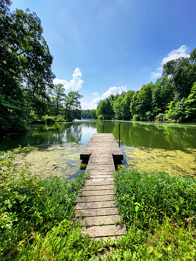 Not just a dock, but a front-row seat to the daily performance of "Lake Walnut: The Musical" &ndash; starring fish, turtles, and occasional dragonflies.