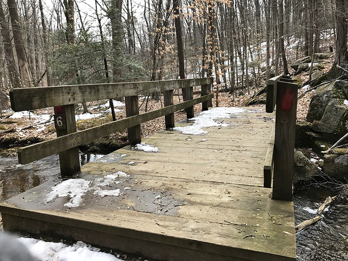 Engineering meets nature: This simple wooden bridge connects not just two banks, but visitors to experiences they'll remember for years.