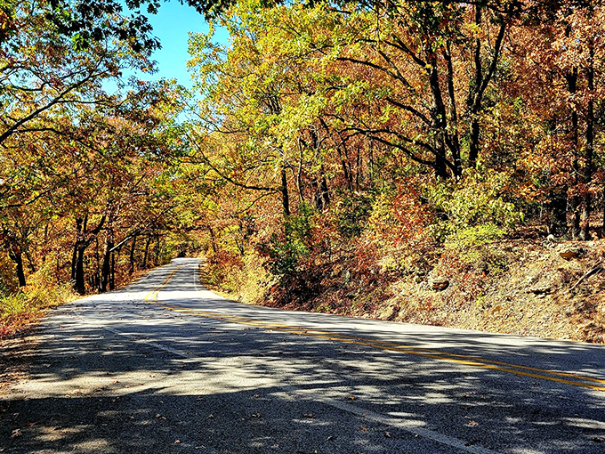 Fall's fiery display frames the gentle curves of the byway, creating the kind of road that makes you deliberately drive slower just to savor it.