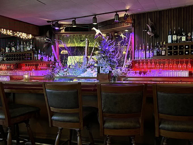 That aquarium brings unexpected whimsy to the bar, where fish provide entertainment between courses and cocktails.