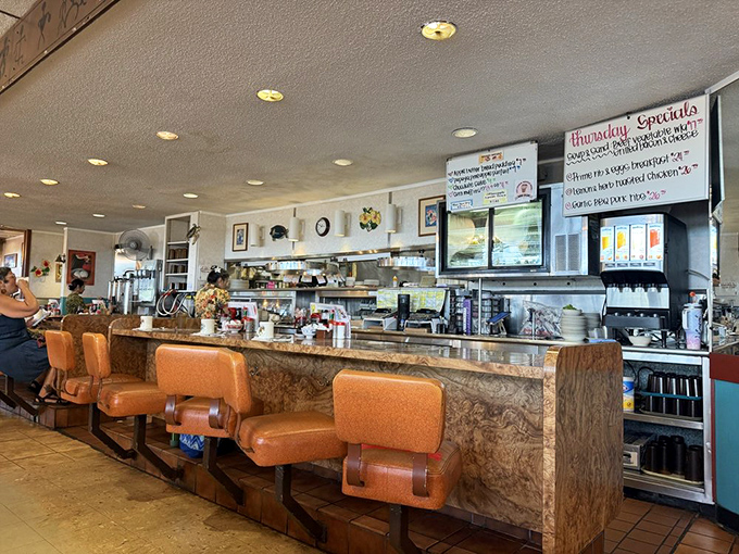 The counter seats where solo diners become regulars and regulars become family, one cup of coffee at a time.