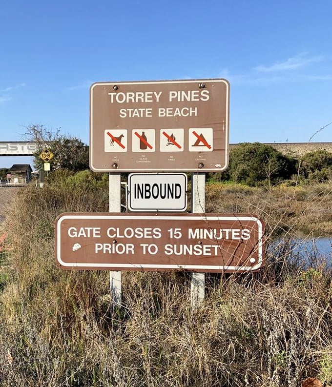 Signs that politely remind you this slice of paradise has rules &ndash; a concept the waves and wildlife have yet to acknowledge.
