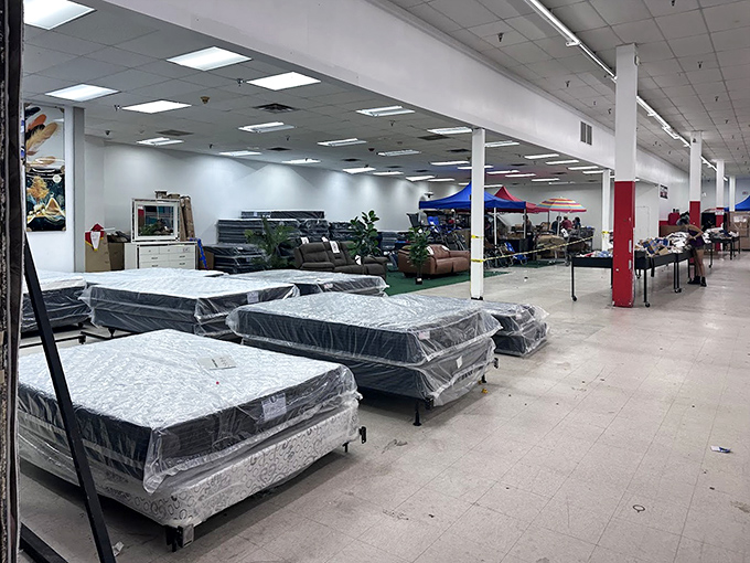 Full-size beds wrapped and ready, making bedroom makeovers accessible to actual human budgets instead of lottery winners only.