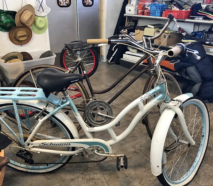 Vintage wheels that promise breezy adventures and Instagram-worthy moments. That Schwinn isn't just a bike&mdash;it's freedom with pedals.