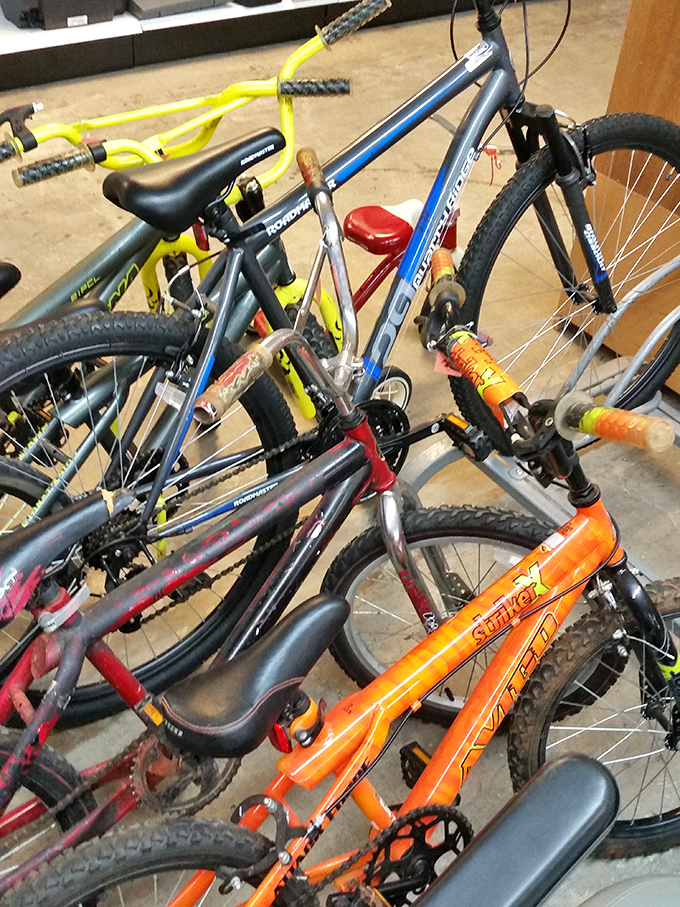 Bicycle heaven for wheel enthusiasts, where that orange Stingray might just be your inner child's dream ride finally within reach.