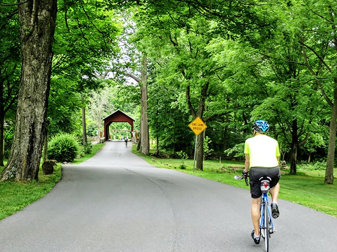 Cyclists love this route, combining scenic beauty with a bridge crossing that feels like pedaling through a portal.