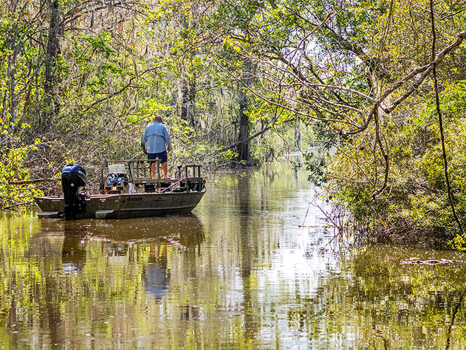 Moss-draped trees create a cathedral-like canopy over this peaceful waterway &ndash; Leesburg's natural answer to the Sistine Chapel ceiling.