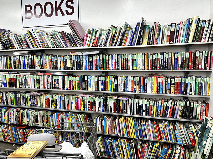 The book section &ndash; where bestsellers of yesteryear find new readers. More literary options than your local library, minus the late fees.