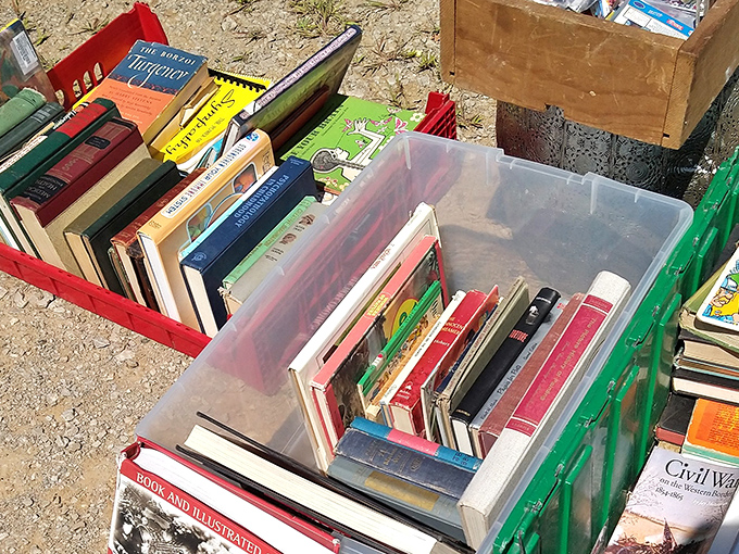 Literary treasures await in plastic bins. Someone's discarded self-help book might contain the wisdom you've been searching for!