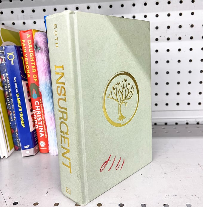 Books with souls&mdash;this copy of "Insurgent" might contain marginalia more interesting than the story itself. Literary treasures hiding in plain sight.