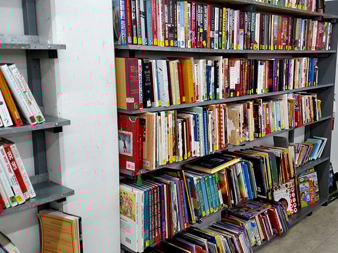 The book section: a bibliophile's dream and a librarian's organizational nightmare, where literary treasures hide between dog-eared paperbacks.