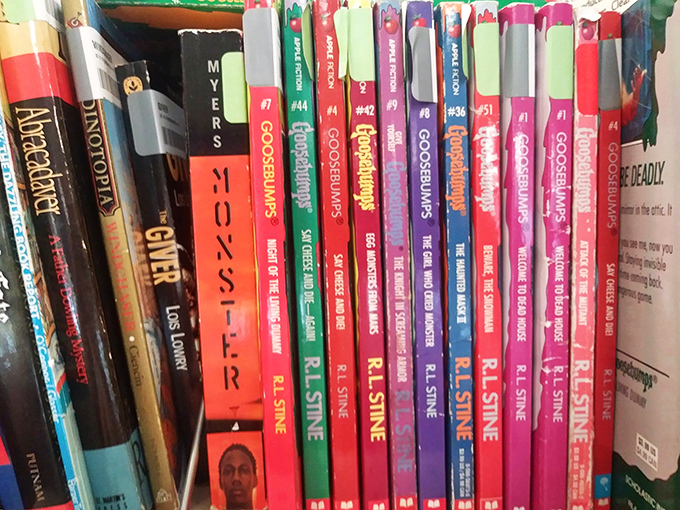 A literary treasure trove where Goosebumps paperbacks mingle with mysteries—bibliophiles call this aisle "the dangerous section" for wallets.