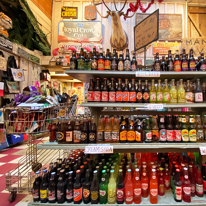 This isn't a soda display&mdash;it's liquid nostalgia in glass bottles. From Royal Crown to root beer, each vintage label promises refreshment with a side of memory.