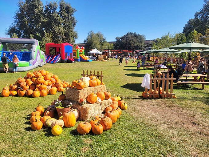 Fall festivities in full swing&mdash;where pumpkin patches and bounce houses prove the journey's end can be just as fun as the ride.