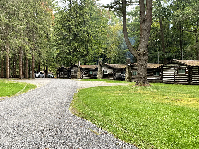 These rustic cabins don't come with room service, but they do offer five-star views and the luxury of actual peace and quiet.