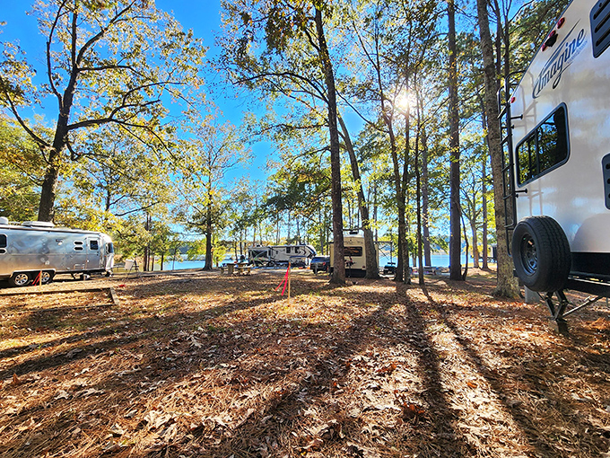 RV enthusiasts find their tribe among the trees, creating temporary neighborhoods with all the comforts of home and none of the lawn maintenance.