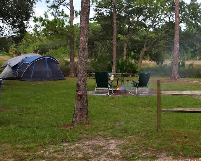 Camping beneath Florida pines with water views? This spot combines primitive charm with million-dollar scenery.