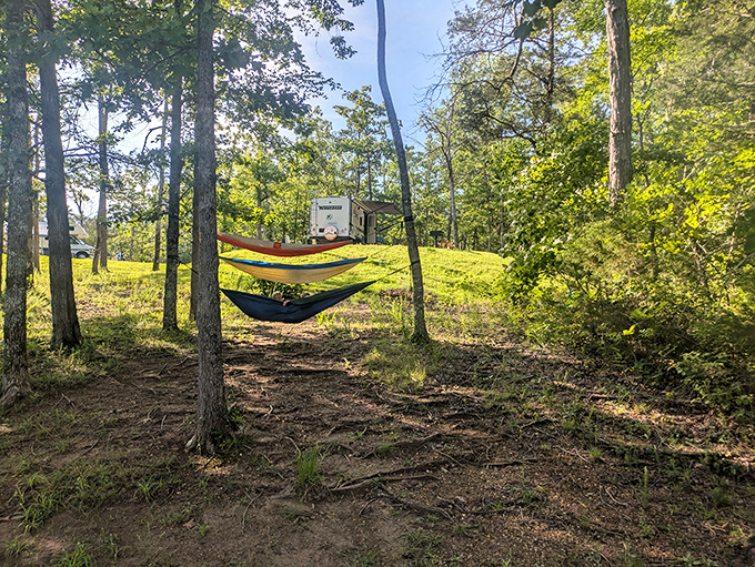 Hammock heaven among the pines &ndash; where napping becomes an Olympic sport and checking email is blissfully impossible.