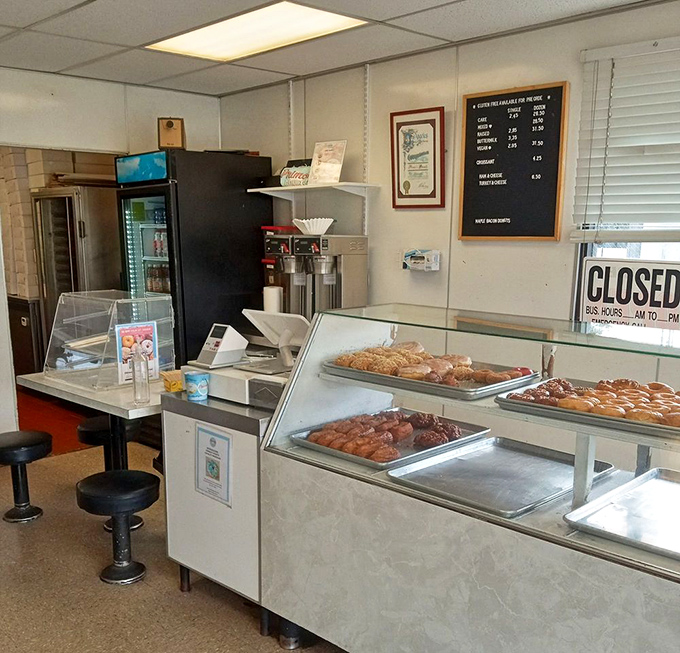 Behind this counter, magic happens daily. The display cases showcase edible treasures that have brightened Los Angeles mornings for decades.