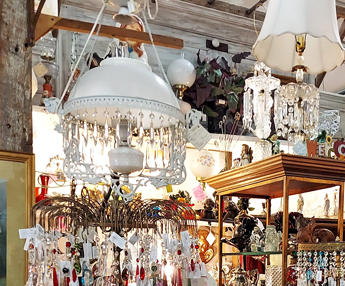 Chandeliers that have illuminated decades of dinner conversations hang like crystalline jellyfish, waiting to cast their glow over your dining room debates.