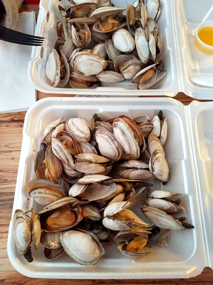 These aren't just clams&mdash;they're little oceanic treasures waiting to be discovered. Briny, tender, and utterly Cape Cod.