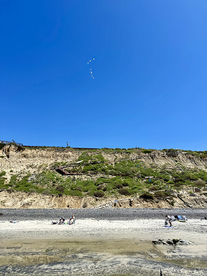 Pelicans patrol the coastline against a perfect blue canvas. Those tiny white specks are nature's own aerial surveillance team.