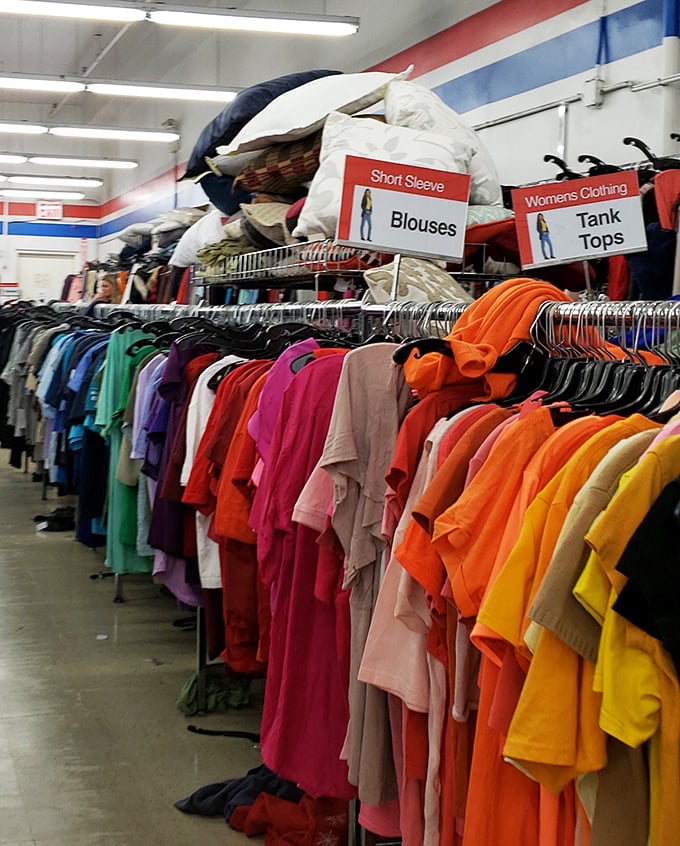 The rainbow of women's tops organized with military precision. Color-coding: the unsung hero of thrift store navigation.