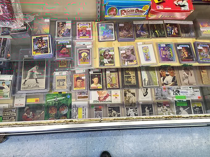 Baseball card heaven behind glass, where legends of America's pastime wait to be rediscovered by collectors with eagle eyes.