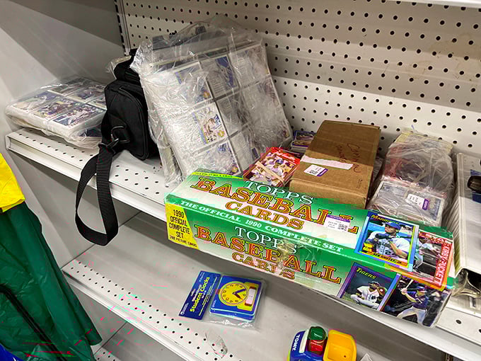 Baseball cards and collectibles that once filled childhood afternoons now await new admirers who understand their nostalgic and potential financial value. 