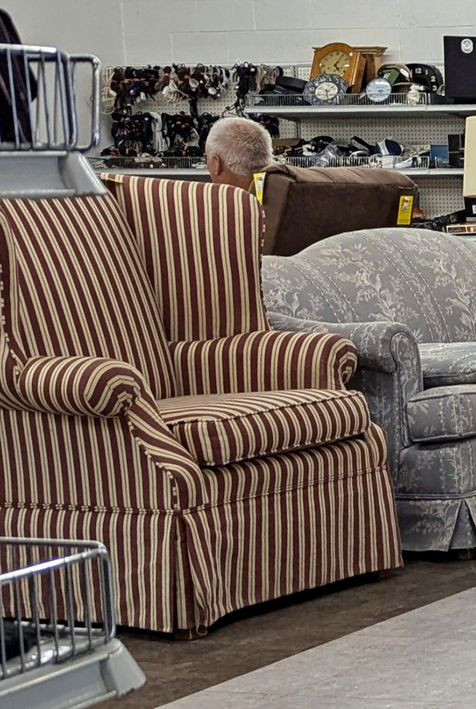 Striped and floral couches await their next living room debut, proving that comfort doesn't require spending your entire paycheck at fancy stores.