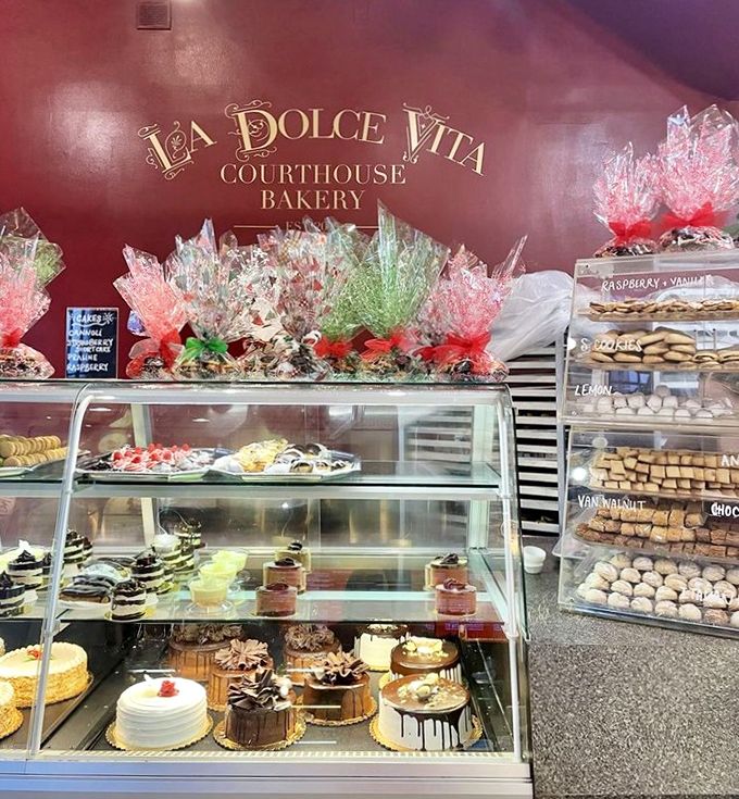 The display counter glows like a treasure chest, except instead of gold doubloons, it's filled with tiramisu, chocolate mousse, and other forms of edible wealth.
