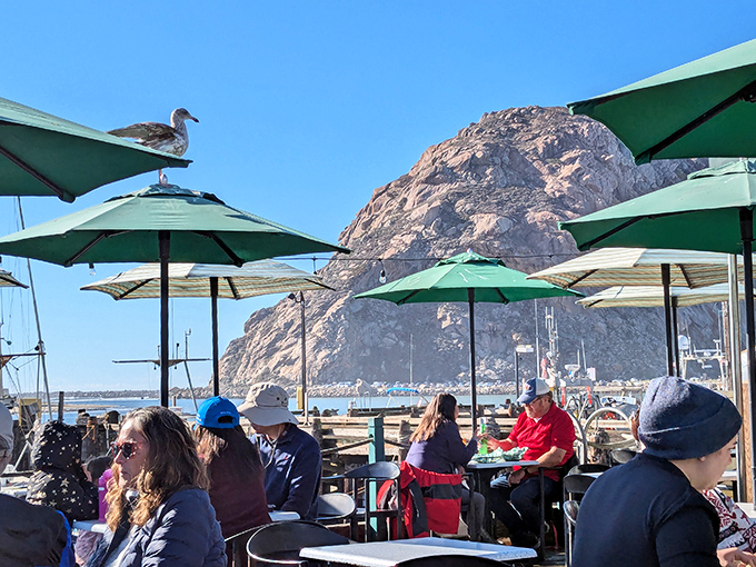 Where dining meets sightseeing &ndash; Morro Rock stands sentinel while diners debate the important question: dessert now or second helping first?
