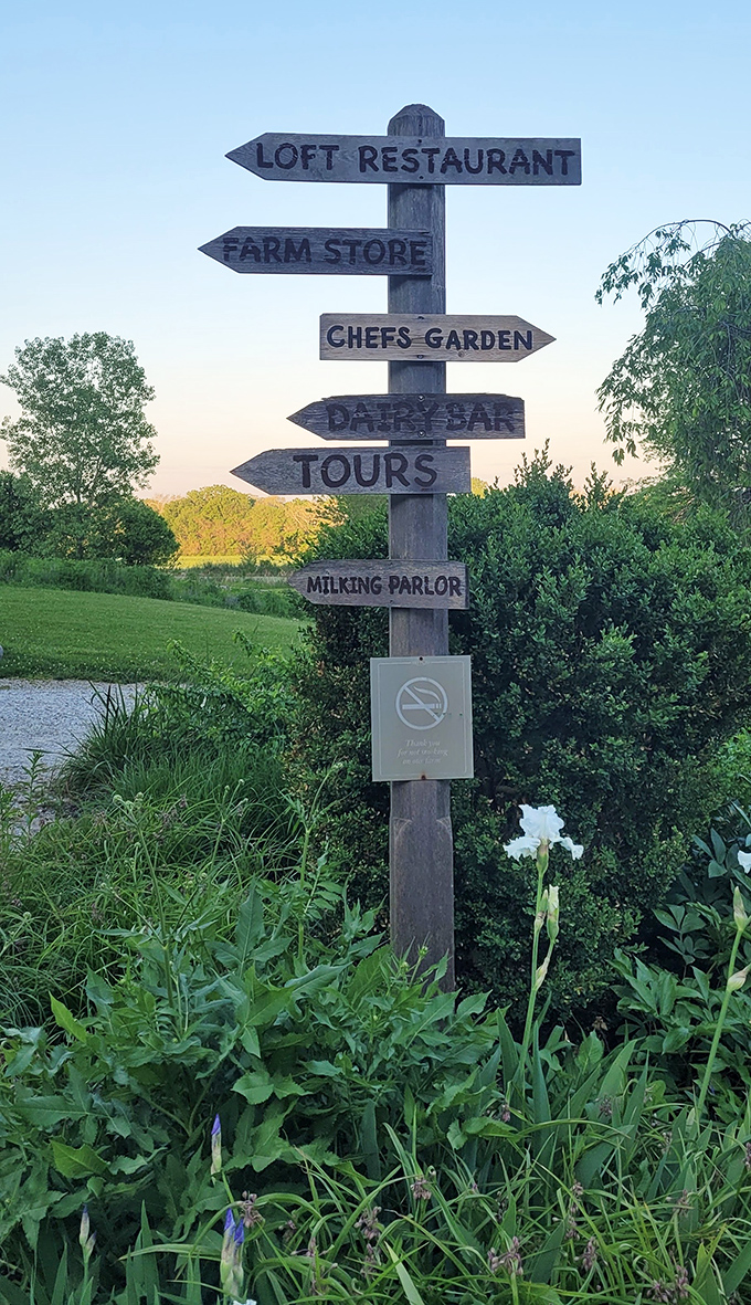 Where to? Everywhere worth going at Traders Point. This charming signpost is like a treasure map for food lovers and farm enthusiasts alike.
