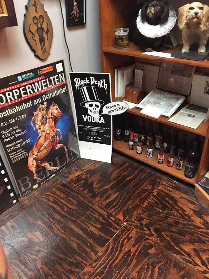 Vintage posters and preserved specimens share shelf space with darkly humorous merchandise—death as both science and commerce.
