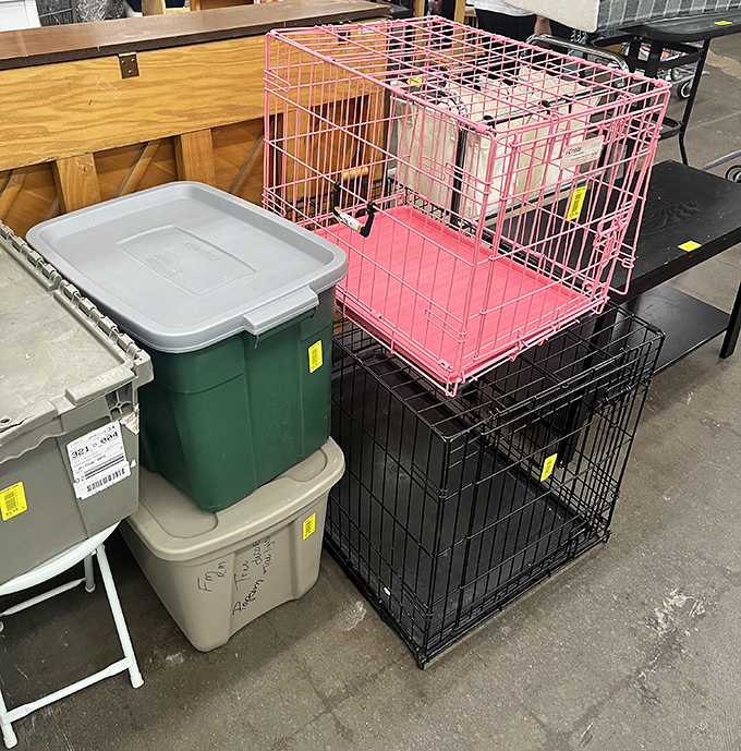Pet paradise awaits! From pretty-in-pink crates to practical storage bins, the thrift store's pet section is a treasure trove for animal lovers on a budget.