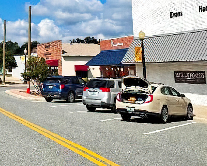 Local businesses line Bushnell's main drag, their modest storefronts housing treasures and services that Amazon can't replicate&mdash;like actual human conversation.