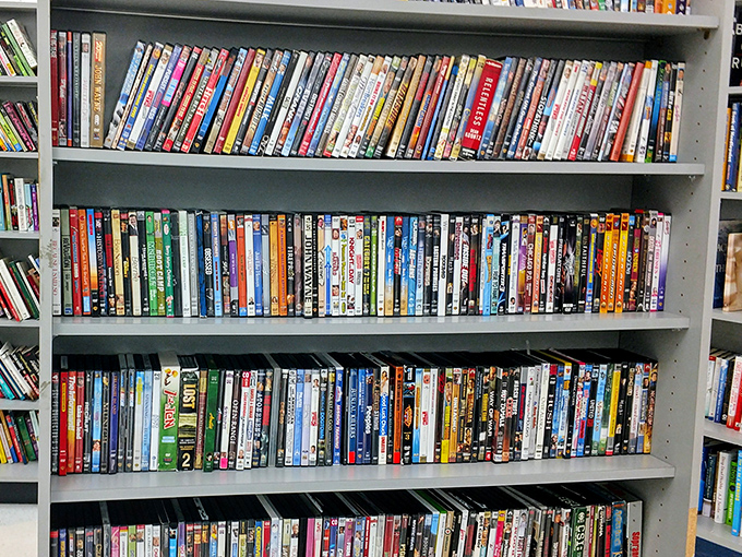 DVD heaven for movie buffs! Before streaming took over, these plastic time capsules delivered entertainment without subscription fees.