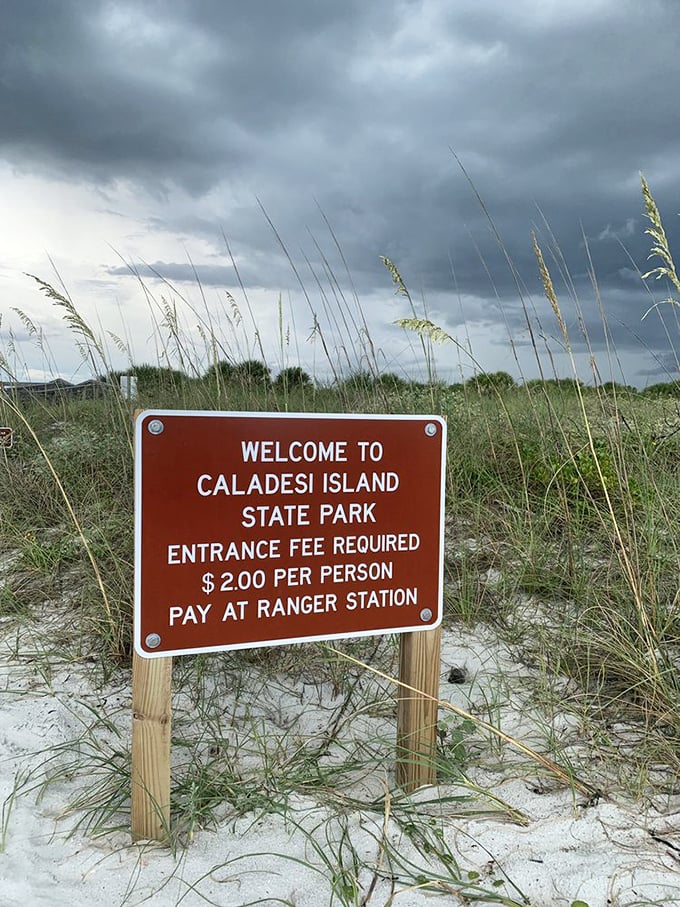 The best $2 admission ticket in Florida. Some experiences are priceless, but this one is practically giving away paradise.