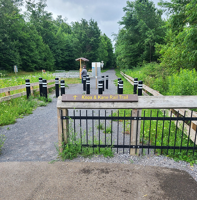 Gateway to the Knox & Kane Rail Trail, where every step follows historic tracks into Pennsylvania's storied wilderness.